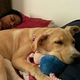 Devin Wilkerson | Velvet Jobs