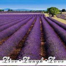 Divya Parameswaran | Velvet Jobs