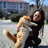 Elif Aksoy | Velvet Jobs