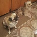 Michelle Brown-Simpson | Velvet Jobs