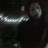 Rose Dim Sum | Velvet Jobs