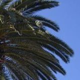 Susan Shepard | Velvet Jobs