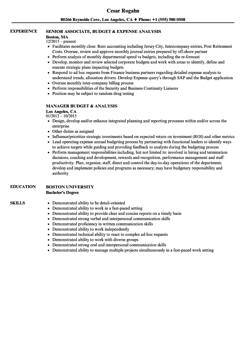 Budget Analysis Resume Samples Velvet Jobs