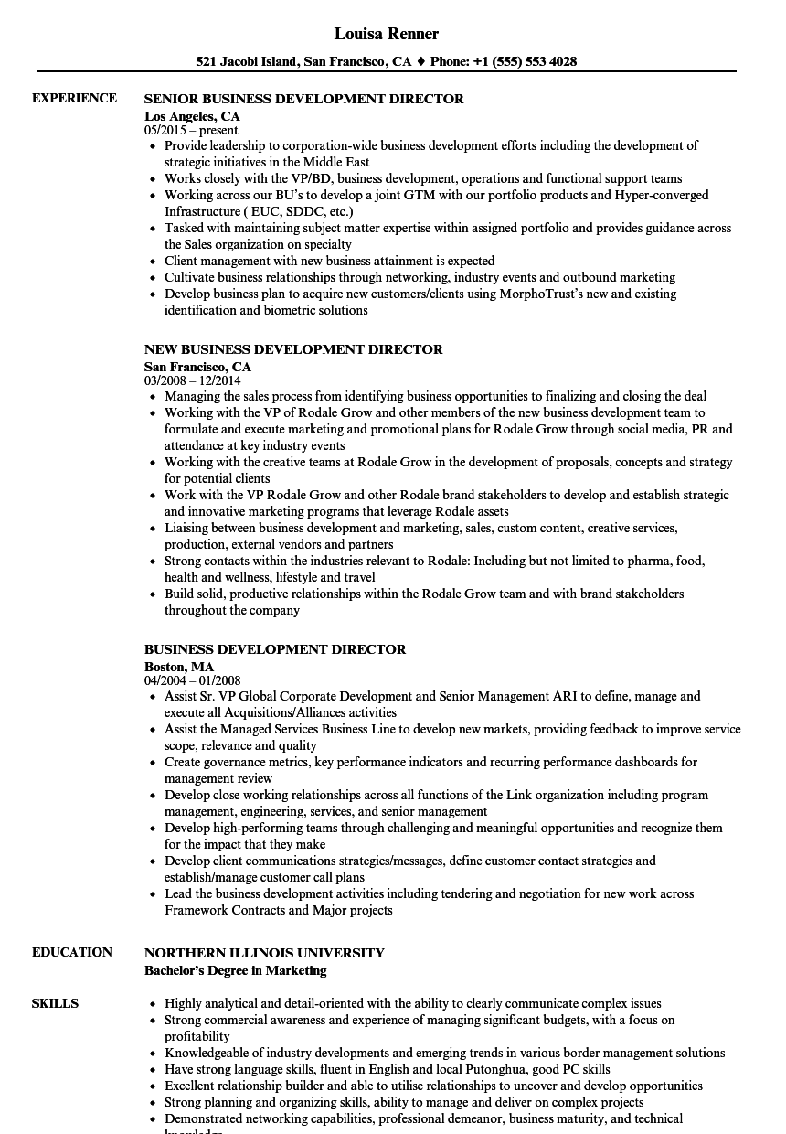 Business Development Director Resume Samples Velvet Jobs