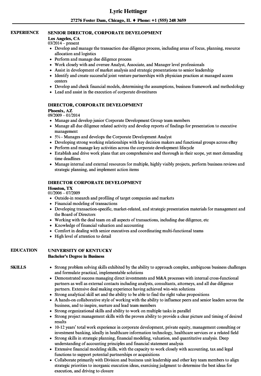 Director Corporate Development Resume Samples Velvet Jobs