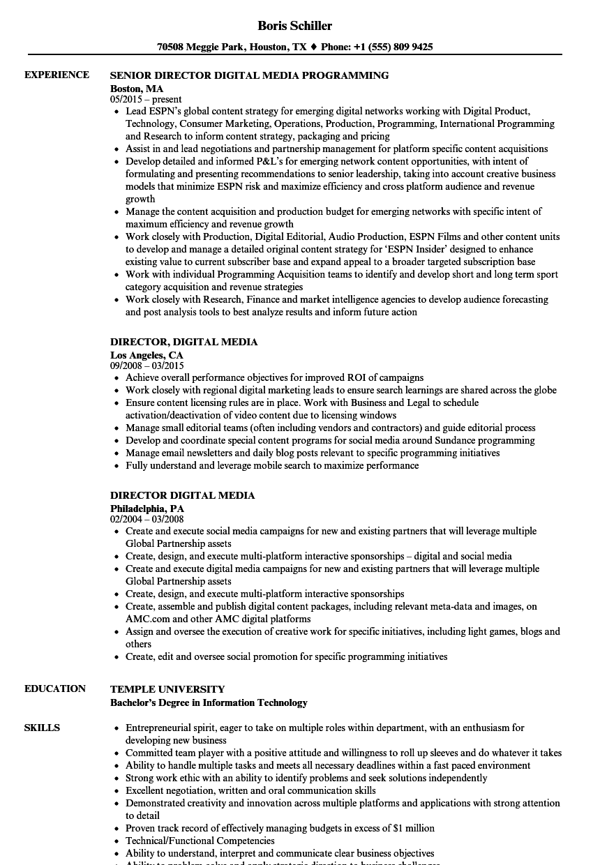Director Digital Media Resume Samples Velvet Jobs