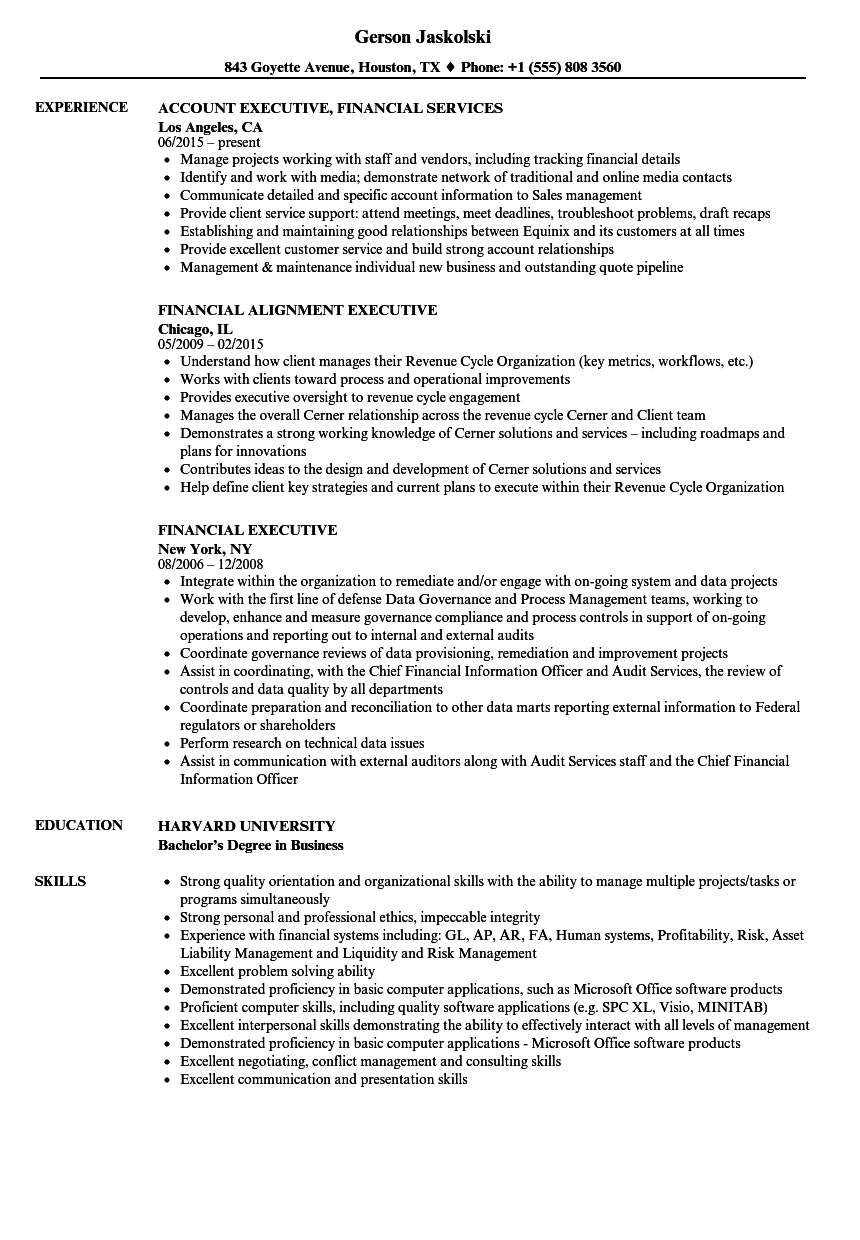 Finance Executive Resume Templates