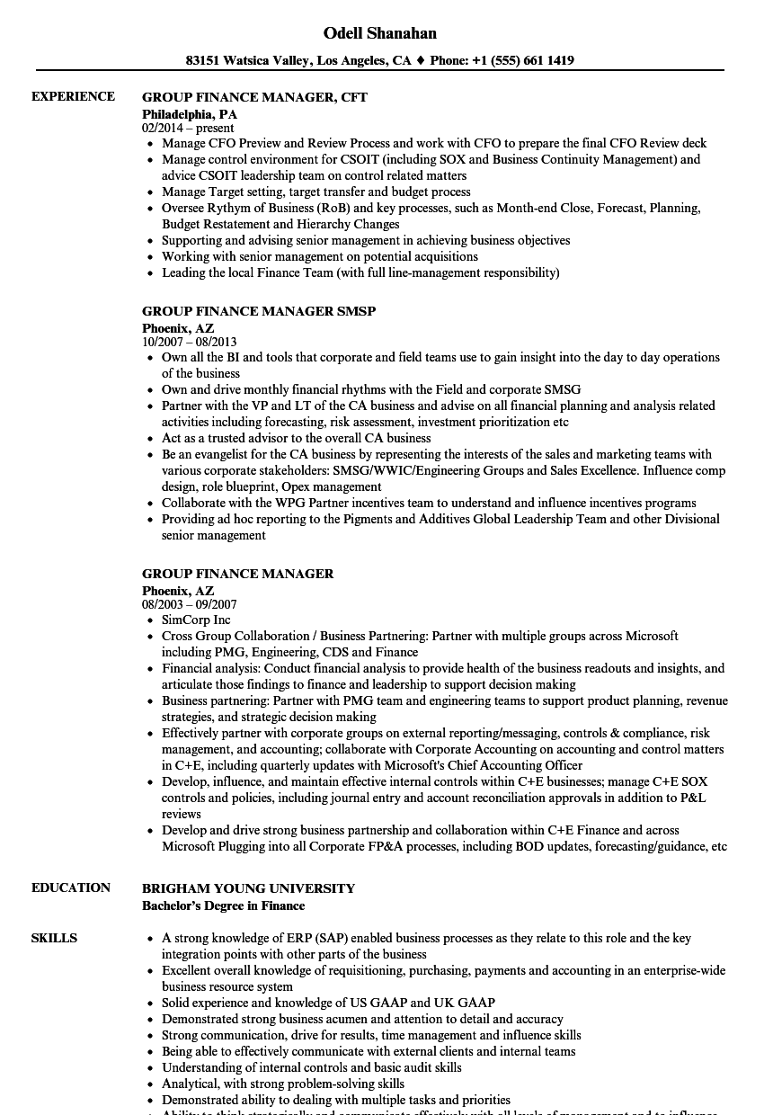 Finance Manager Job Resume Finance Manager Cv Example You Will Find 