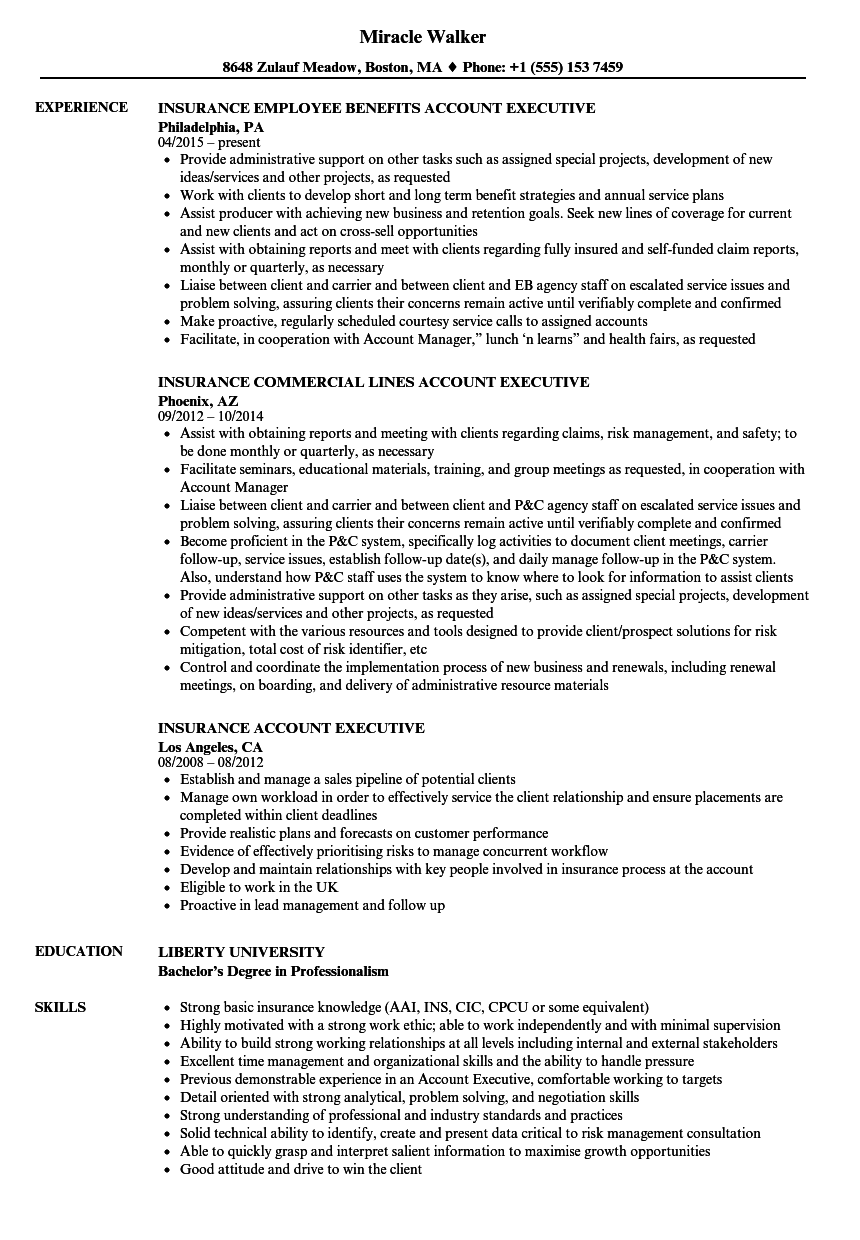 Insurance Account Manager Job Description For Resume Sales Manager 