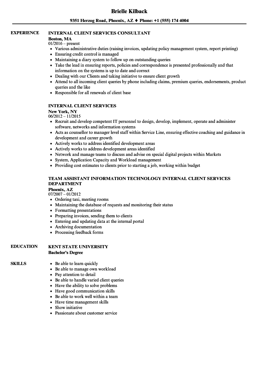 17 Internal Job Resume Sample PNG Wajo