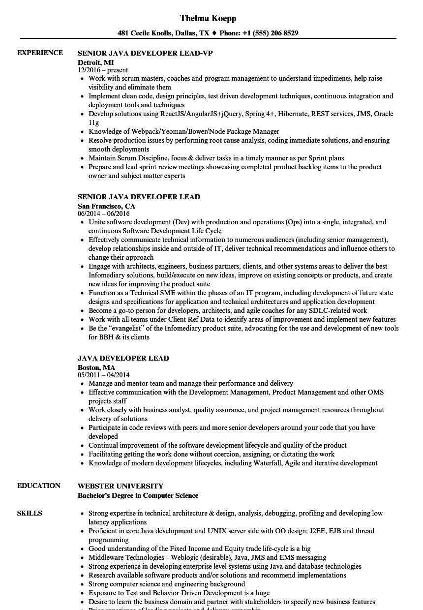 Java Developer Roles And Responsibilities For H1b The Best Developer 