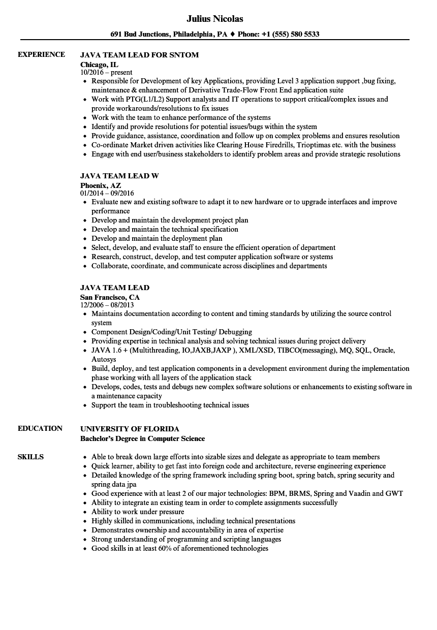 Cv For Team Leader 25 Best CV Personal Profile Examples With Writing 