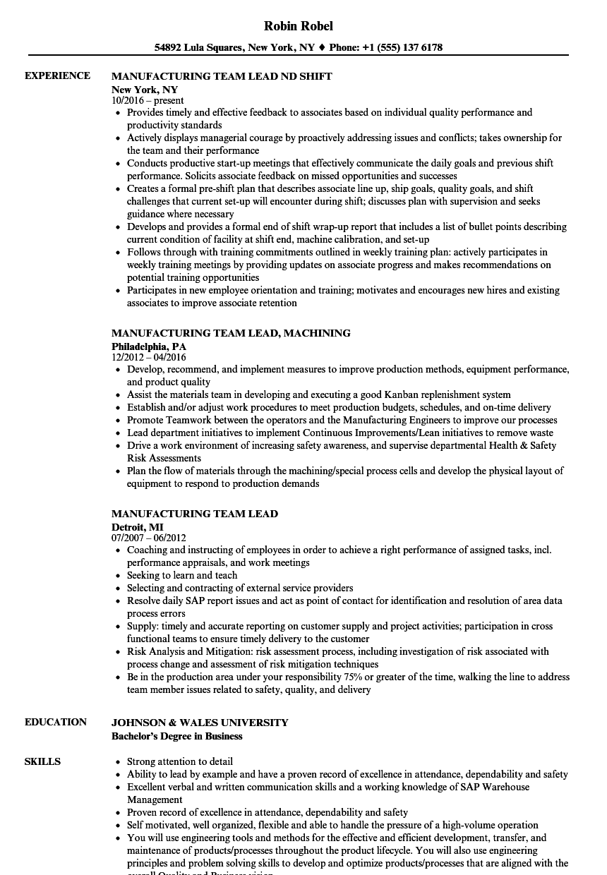 Sample Resume Excel Experience