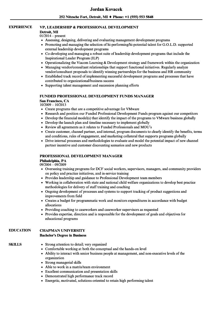 Development Professional Resume Template Premium Resume Samples