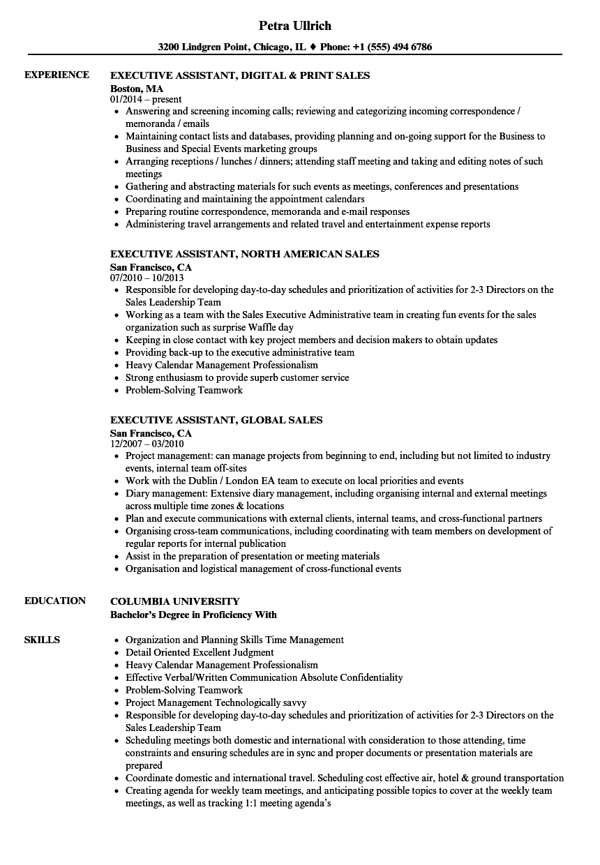 Sales Executive Assistant Resume Samples | Velvet Jobs