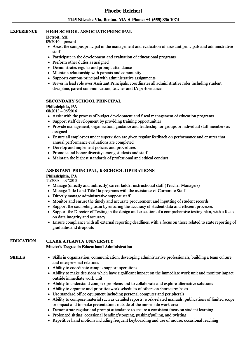 Principal Resumes Examples Promotioncoachpocketbook