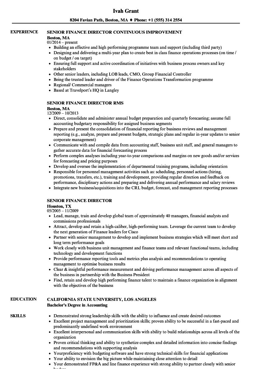 Finance Director Cv Examples Businesser