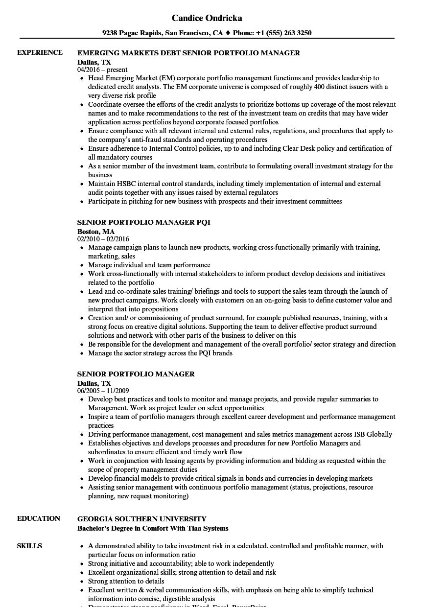 Best Templates Senior Portfolio Examples Best Templates Senior Portfolio Examples