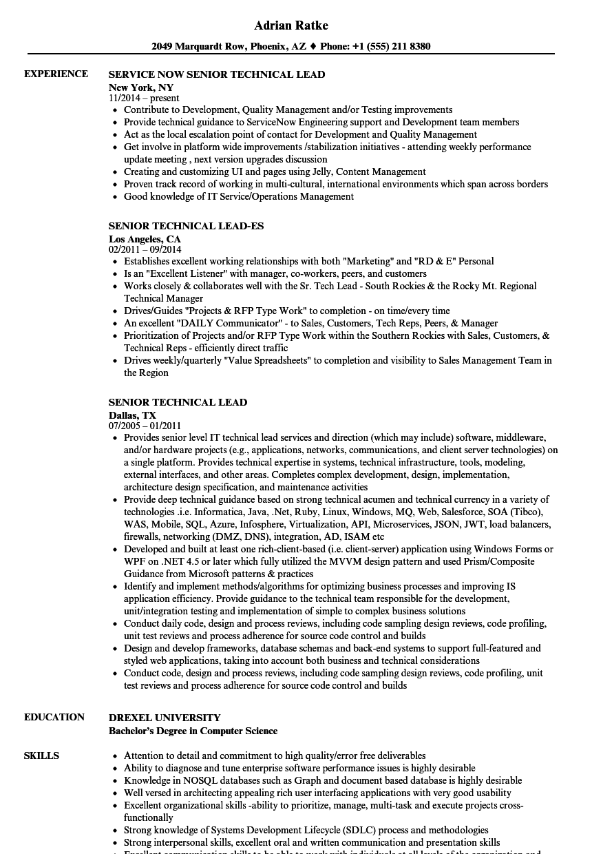 Technical Lead Role Resume Wyvopirib