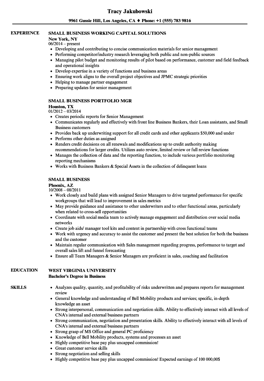  View 27 View Small Business Owner Resume Template Images Vector