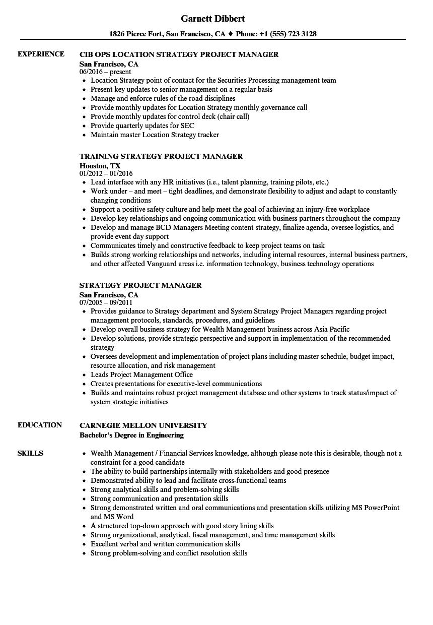 Project Management Resume It Project Manager Free Resume Samples Blue 