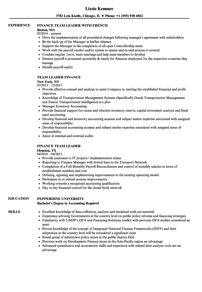 Team Leader Finance Resume Samples Velvet Jobs