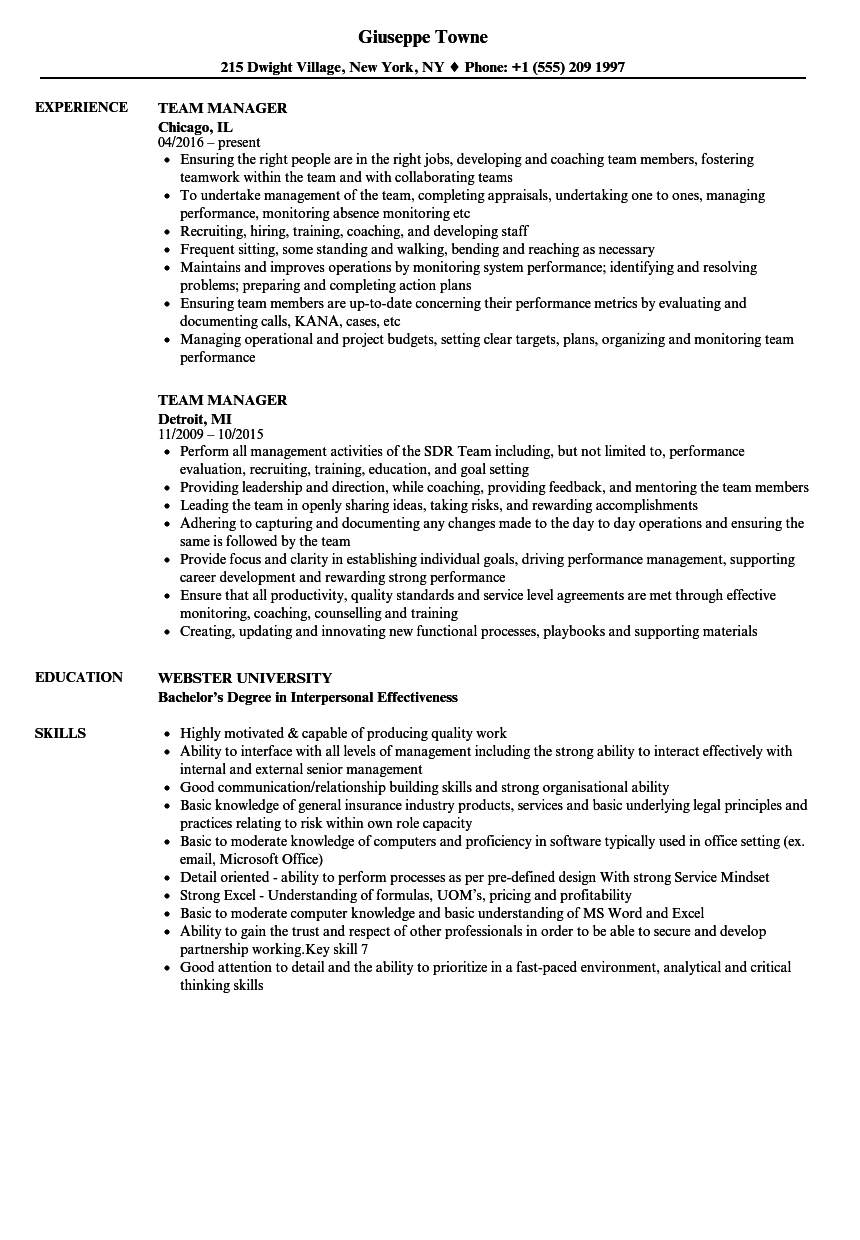 Team Manager Resume Samples Velvet Jobs